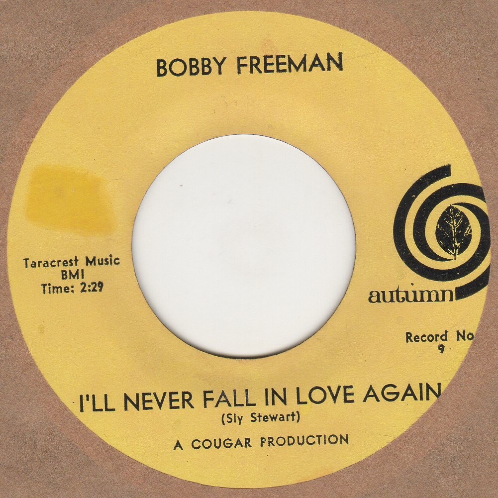 Ill Never Fall In Love Again / Duck